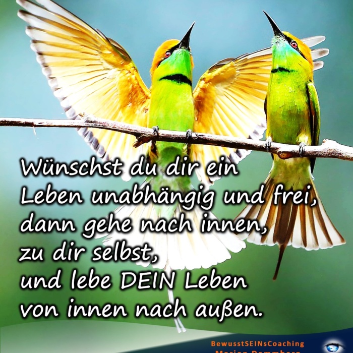 Der Sinn des Lebens ⋆ Marion Dammberg BewusstSEINs Coaching ...