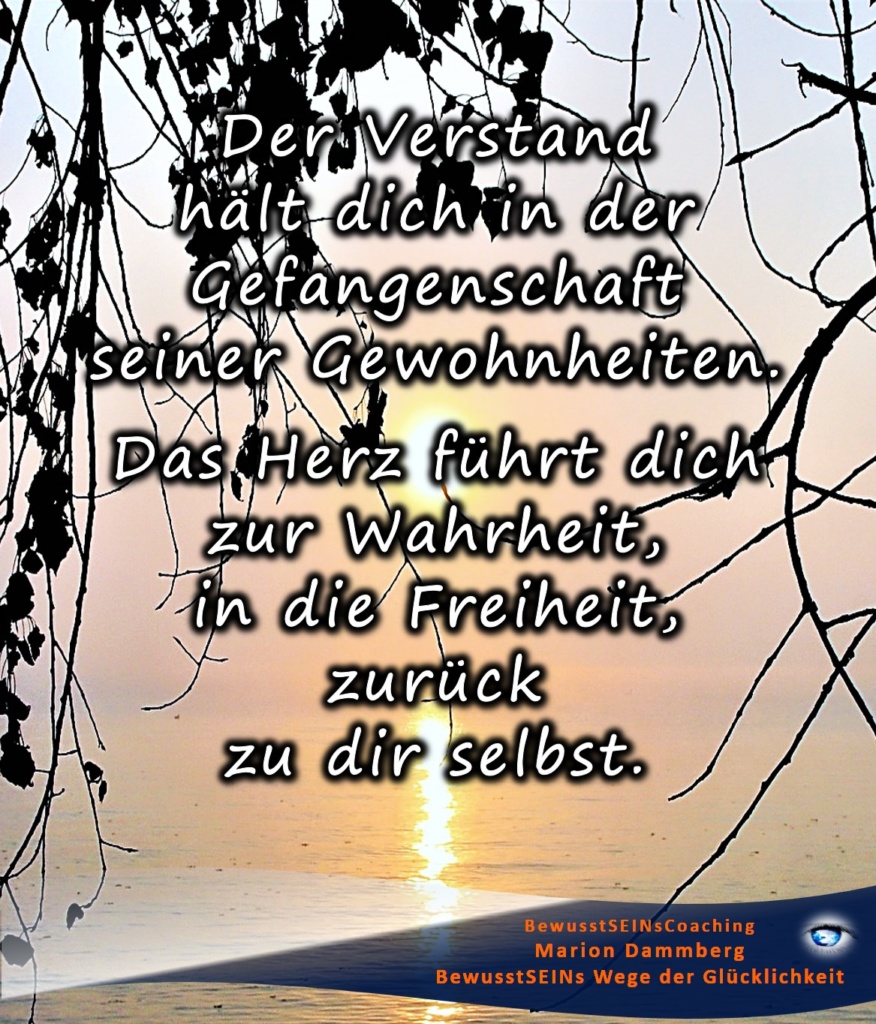 Wo du die Wahrheit und die Freiheit findest - Verstand vs. Herz ⋆ ...
